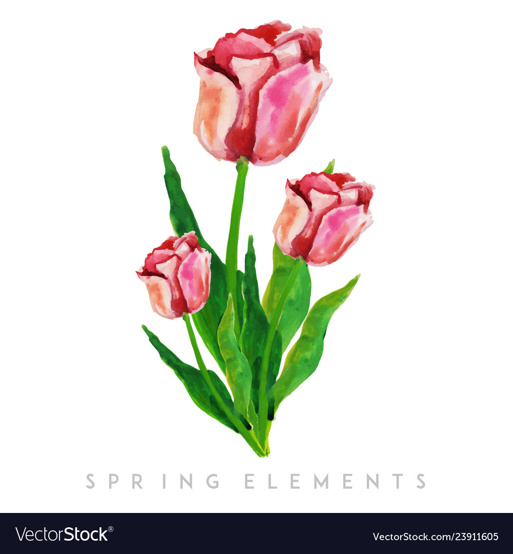 Watercolor spring floral collection Royalty Free Vector