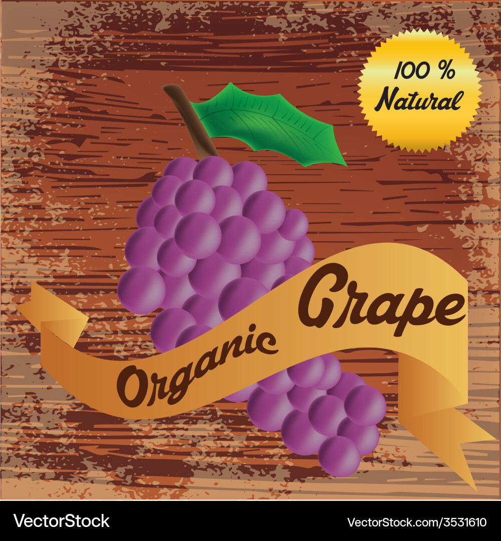 An isolated grapes and a ribbon with text Vector Image