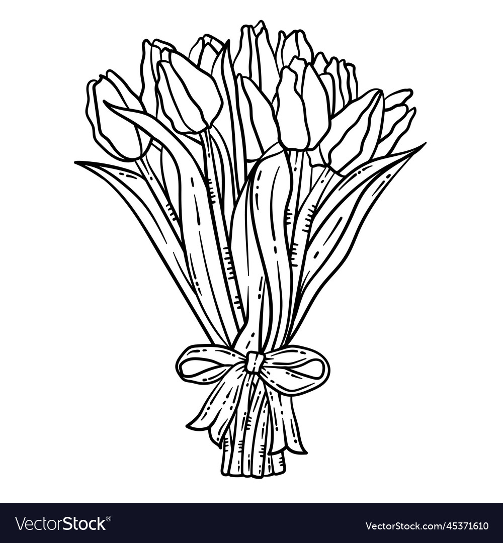 Tulip flower spring coloring page for adults Vector Image