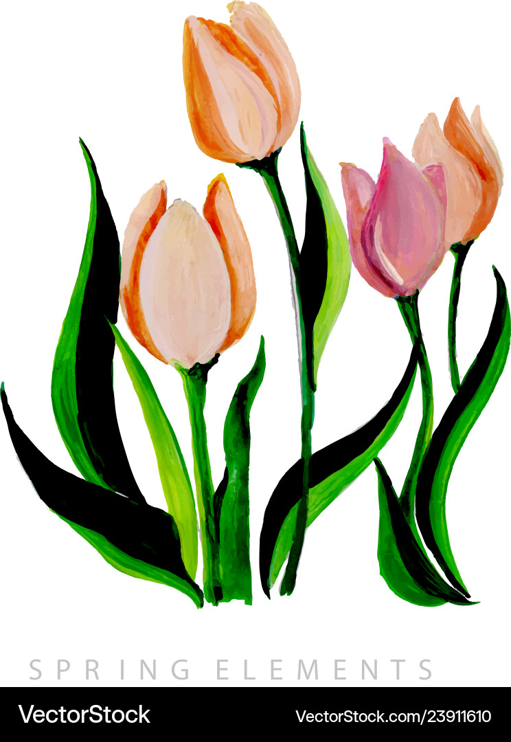 Watercolor spring floral collection Royalty Free Vector