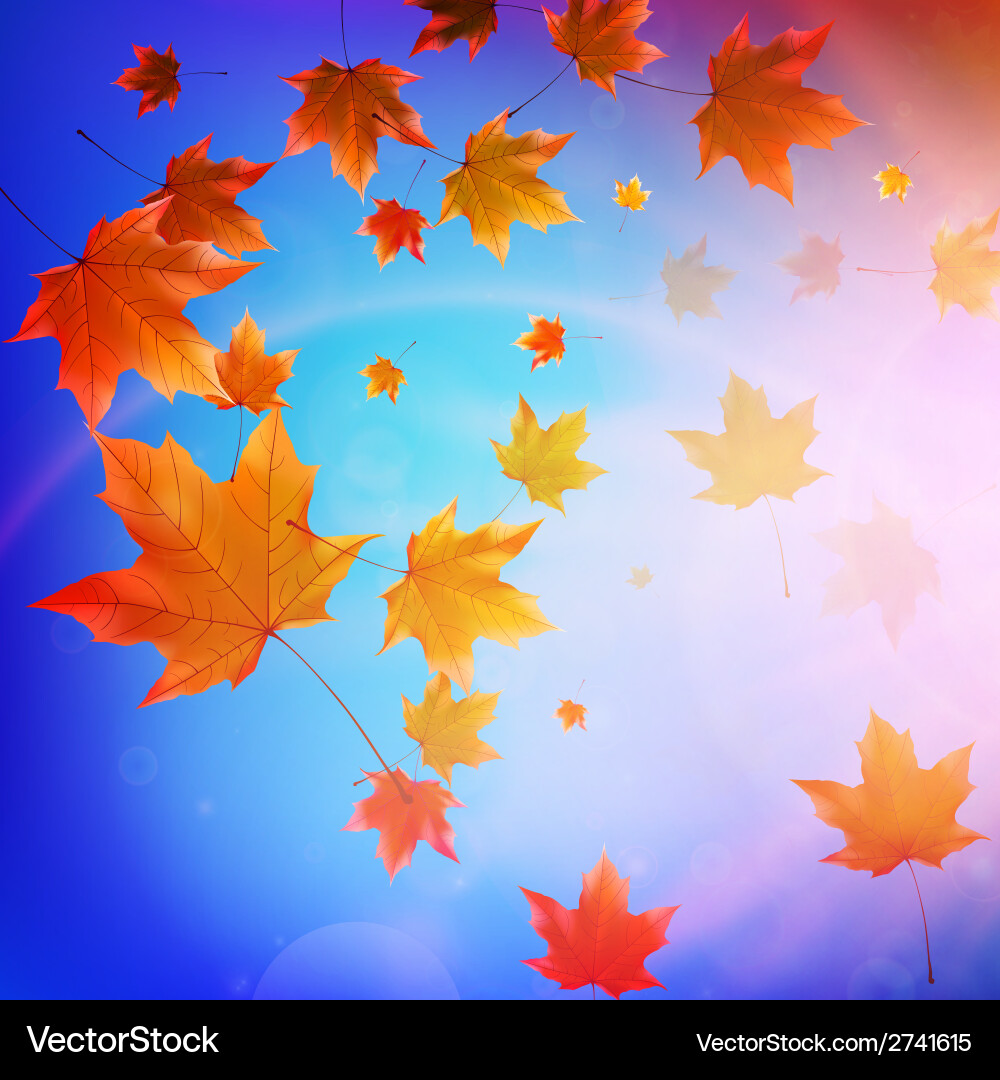 Beautiful autumn leaves Royalty Free Vector Image