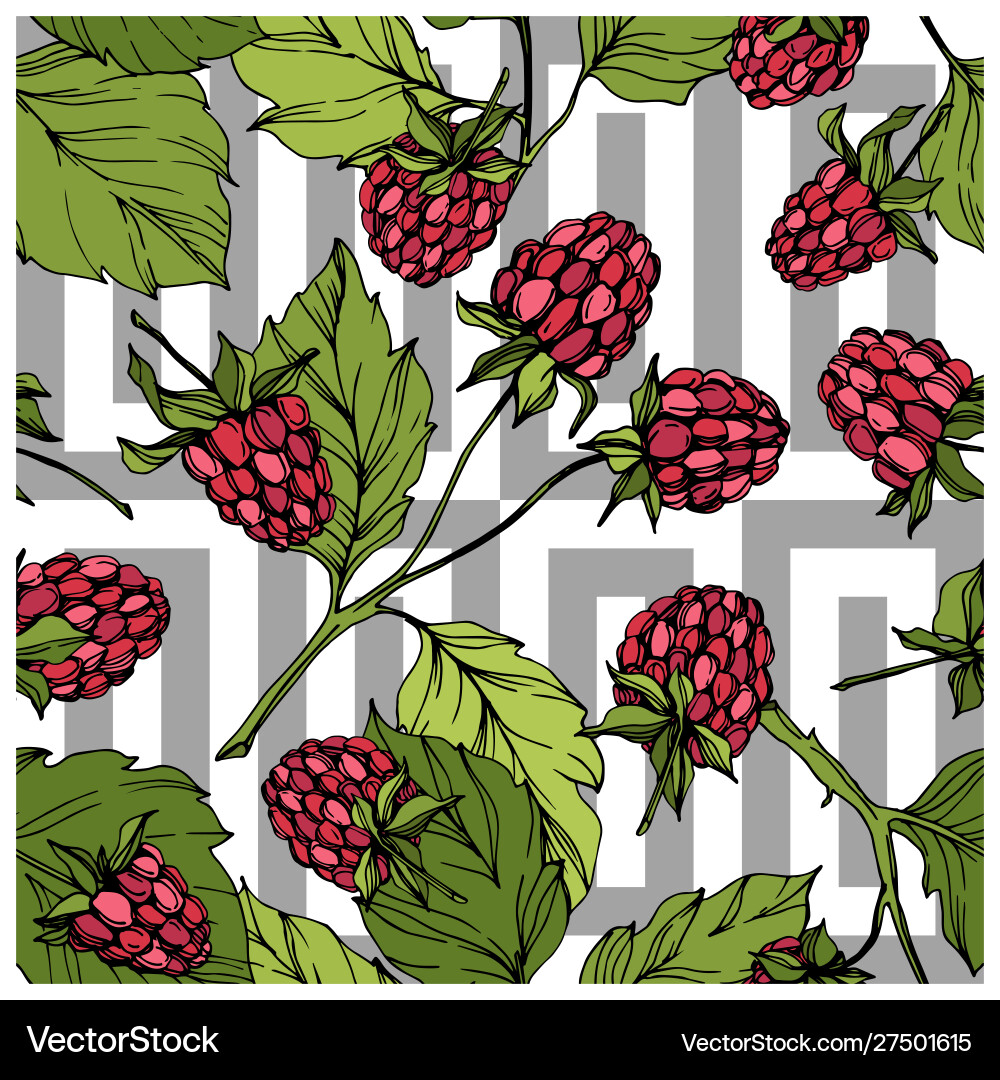 Raspberry healthy food isolated red Royalty Free Vector