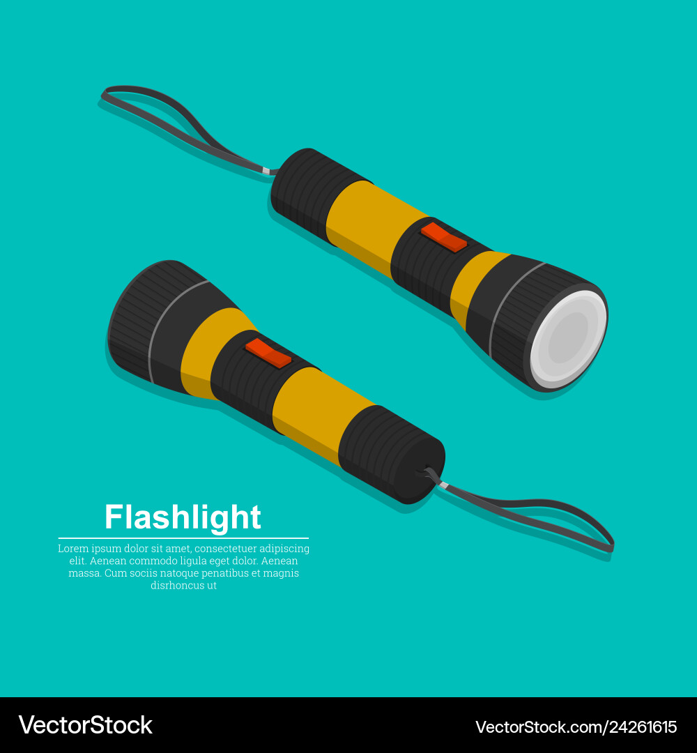 Set of two electric torches Royalty Free Vector Image