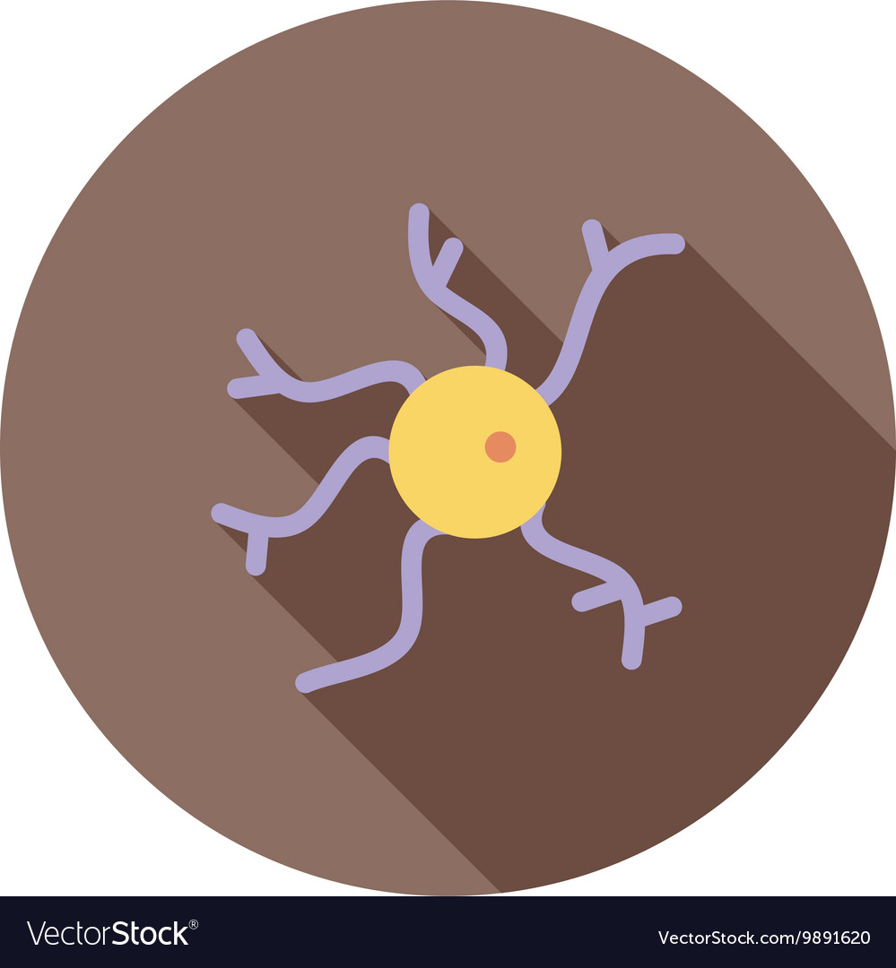 Neuron Royalty Free Vector Image - VectorStock