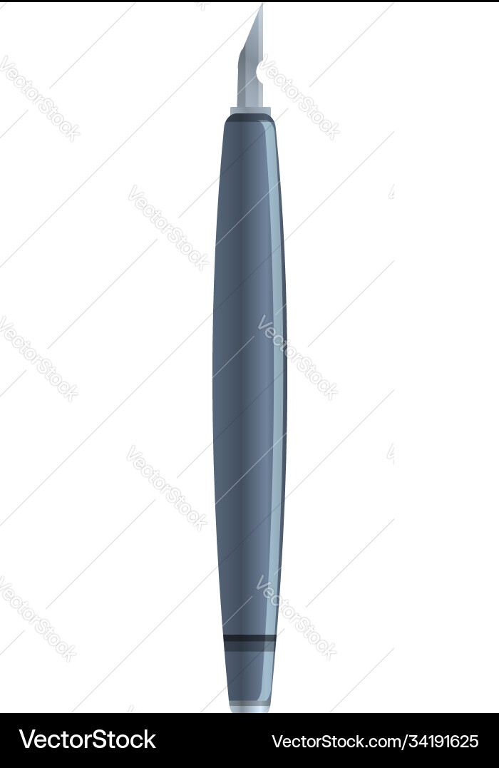 Calligraphy pen tool icon cartoon style Royalty Free Vector