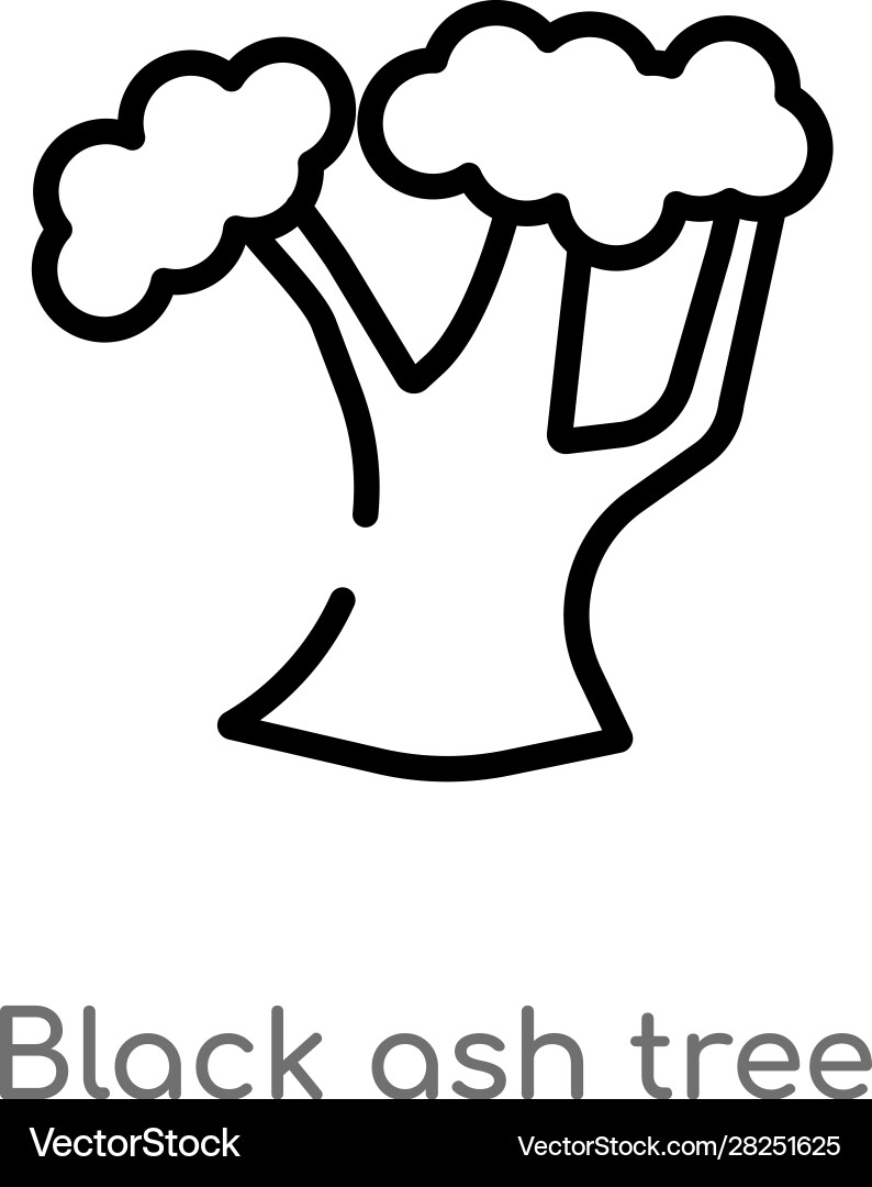 Outline black ash tree icon isolated black simple Vector Image