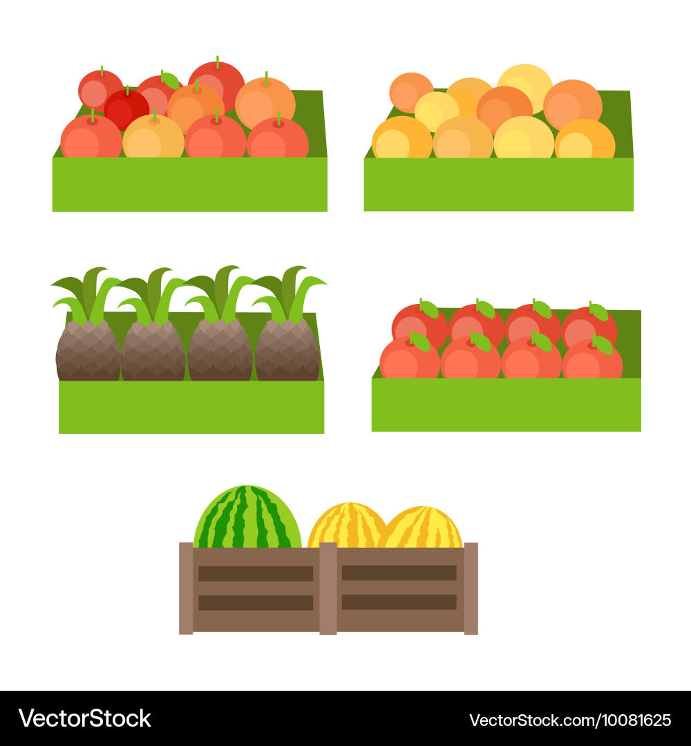 Set of boxes with fruits Royalty Free Vector Image