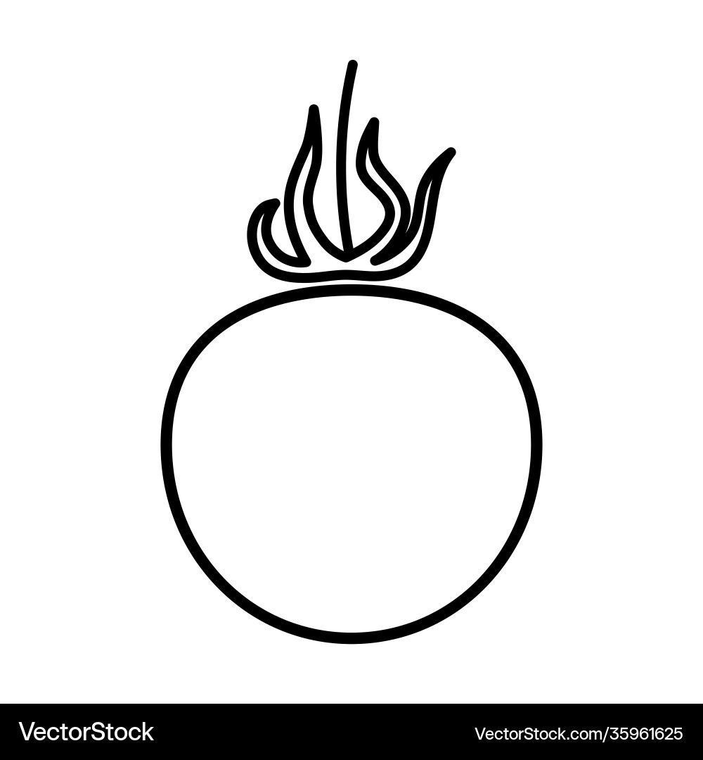 Tomato outline Royalty Free Vector Image - VectorStock