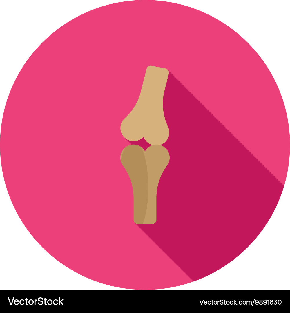 Bones Royalty Free Vector Image Vectorstock