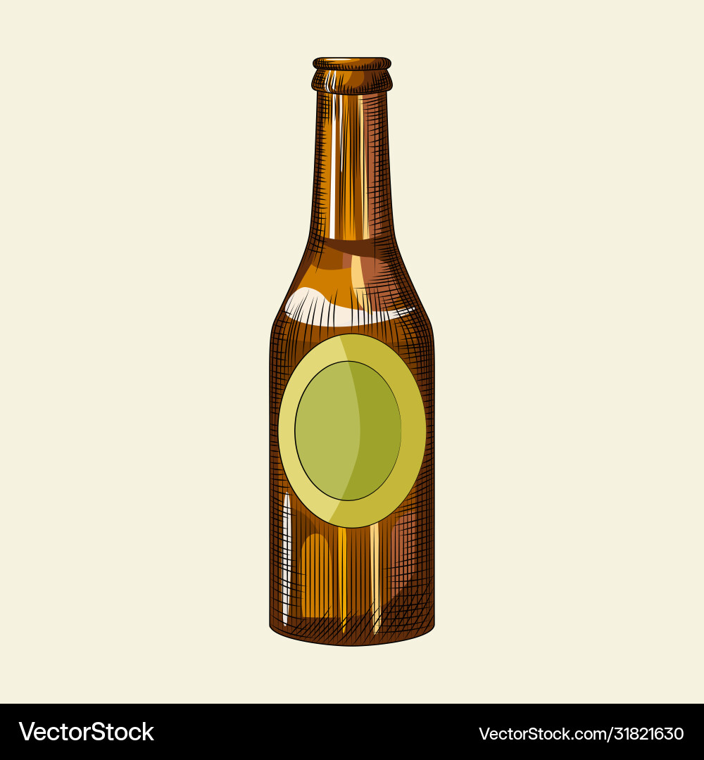 Hand drawn beer bottle isolated on light Vector Image