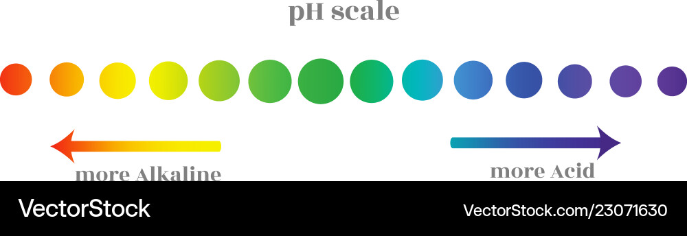 Ph scale with gradation of different levels Vector Image