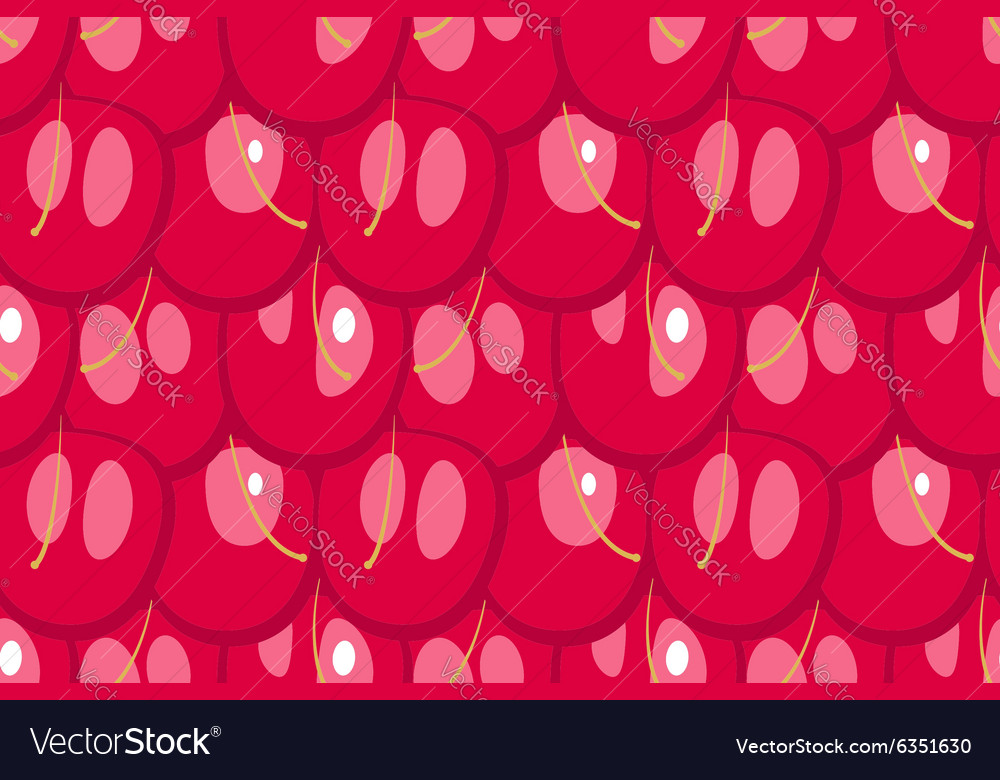 Seamless raspberry texture Royalty Free Vector Image