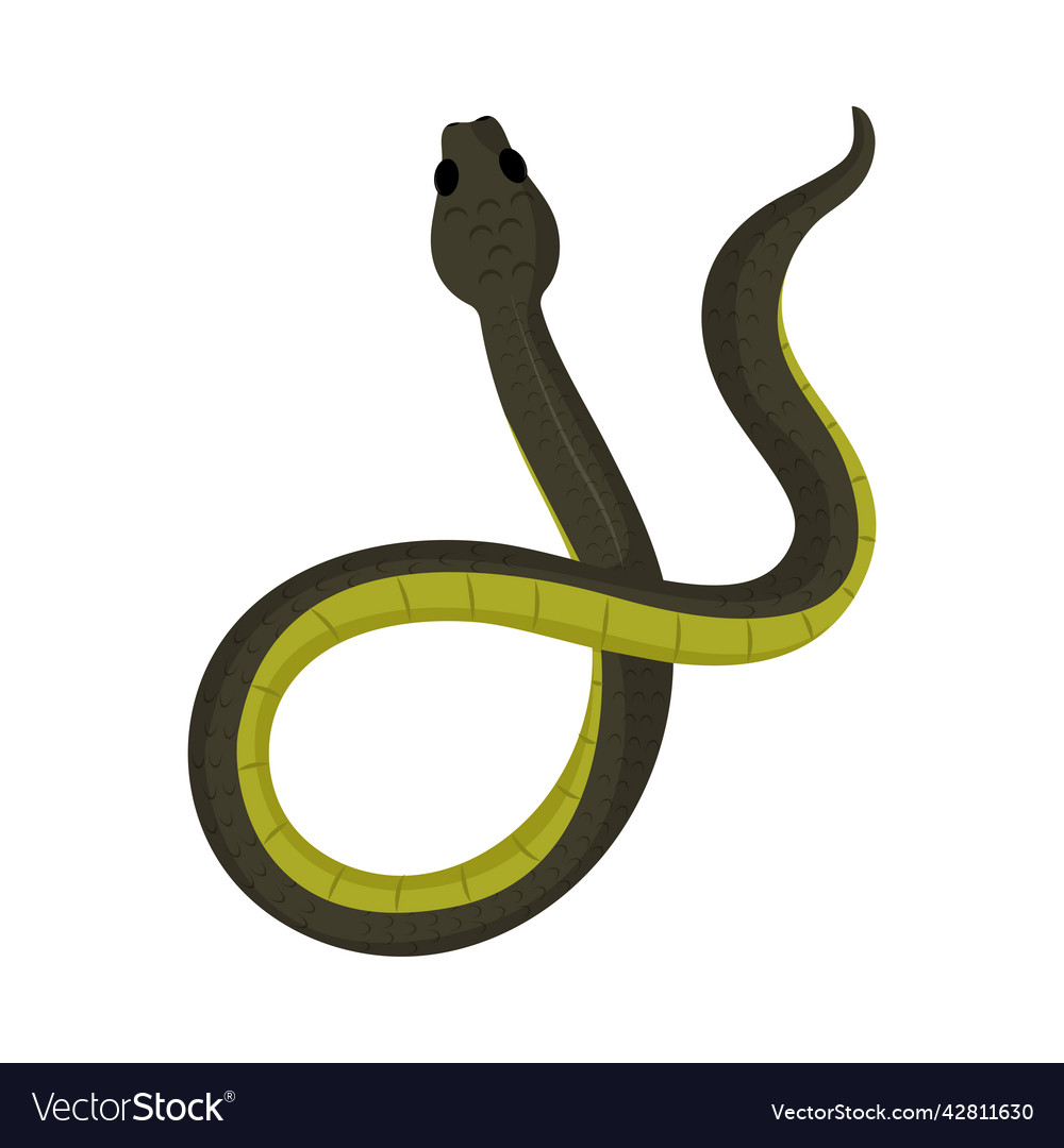 Snake flat icon Royalty Free Vector Image - VectorStock