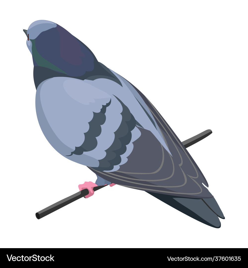 Dove iconcartoon icon isolated Royalty Free Vector Image