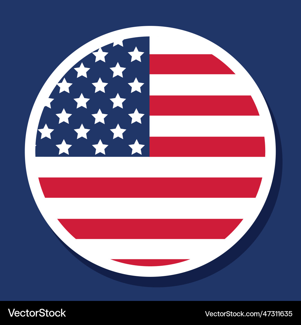 Image of the us flag Royalty Free Vector Image