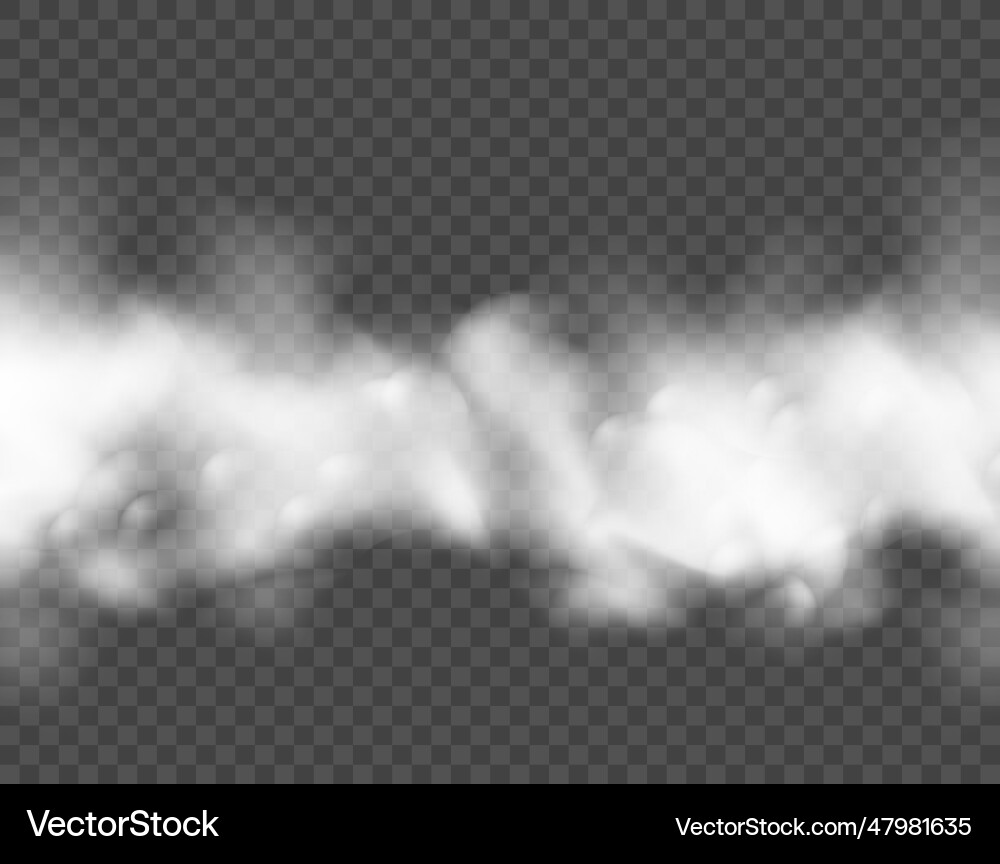 Smoke fog effect realistic mist transparent Vector Image