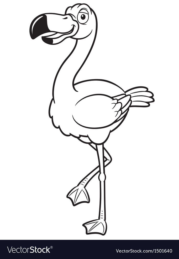 Flamingo Royalty Free Vector Image - VectorStock