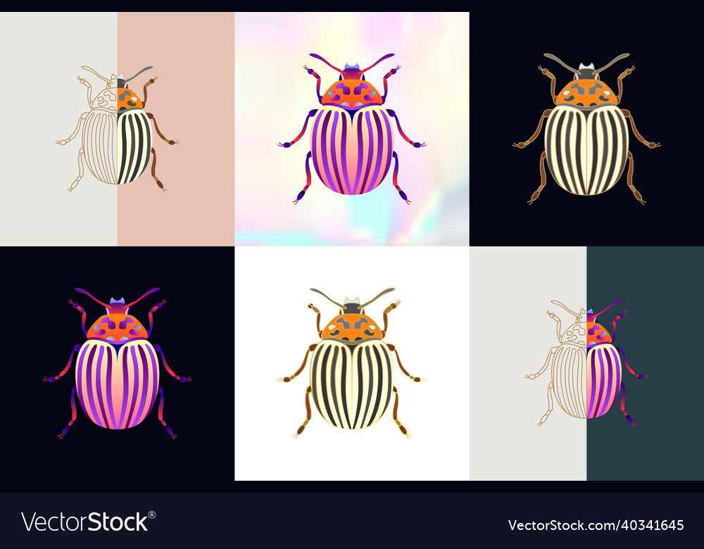 Abstract insects Royalty Free Vector Image - VectorStock