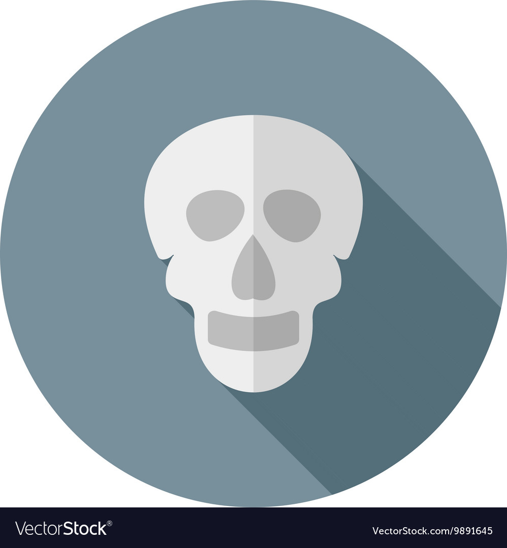 Face skeleton Royalty Free Vector Image - VectorStock