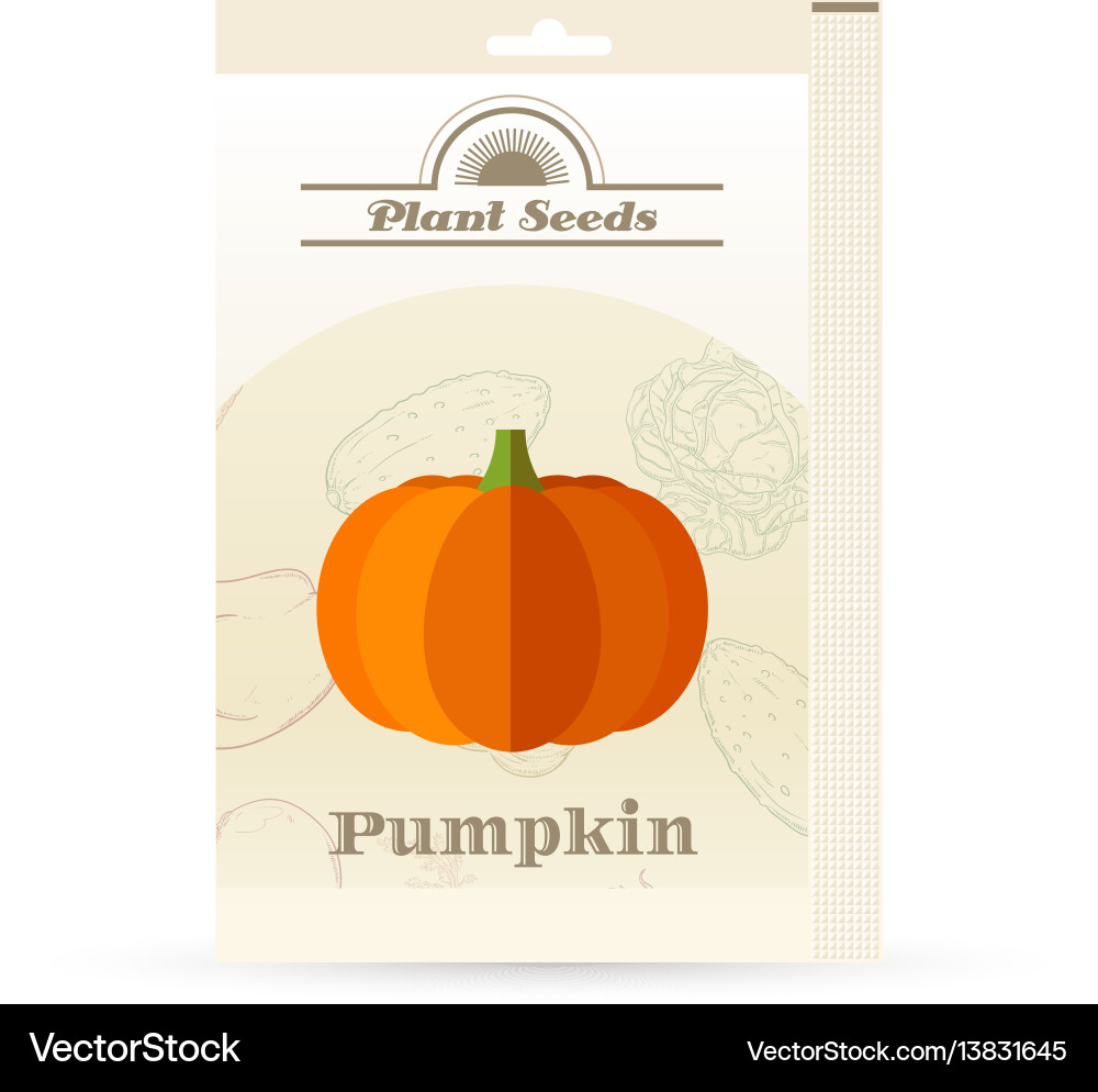 Pack of pumpkin seeds Royalty Free Vector Image