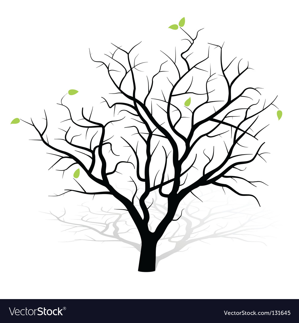 Revived tree Royalty Free Vector Image - VectorStock