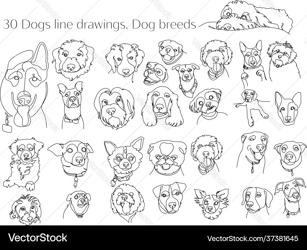 Set drawing pets in linear style dog breeds Vector Image