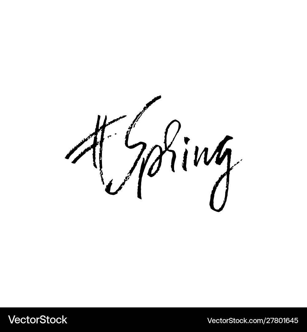 Spring lettering modern dry brush inscription Vector Image