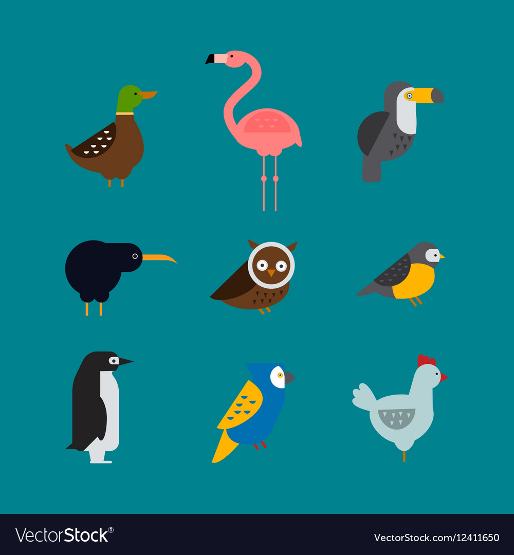 Birds set isolated Royalty Free Vector Image - VectorStock