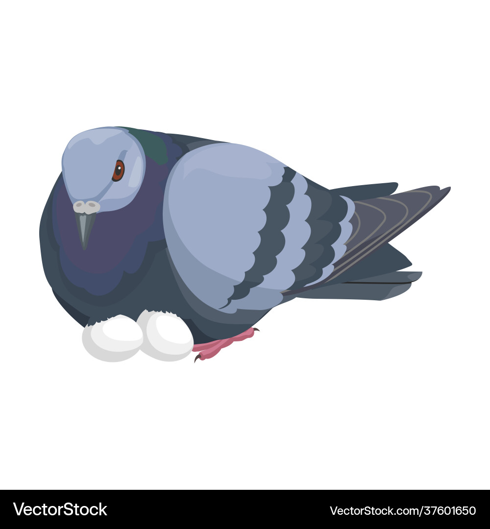 Dove iconcartoon icon isolated Royalty Free Vector Image