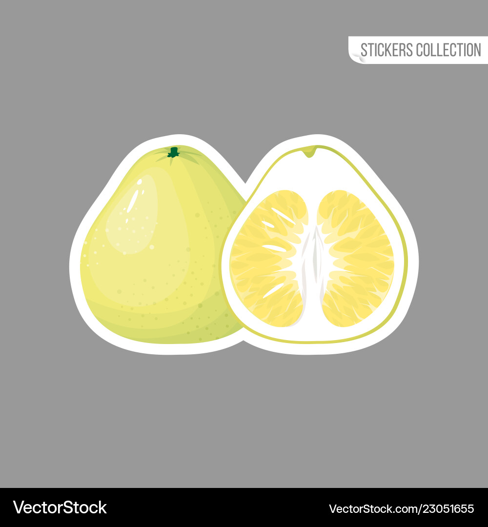 Cartoon fresh pomelo isolated sticker Royalty Free Vector