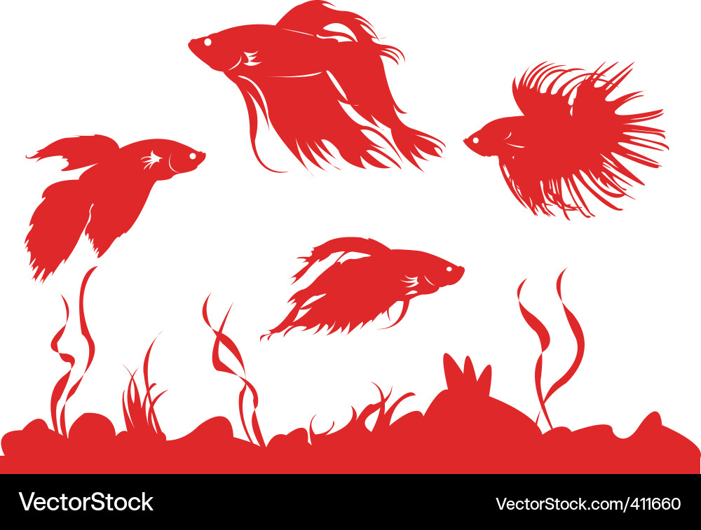 Gold fish Royalty Free Vector Image - VectorStock