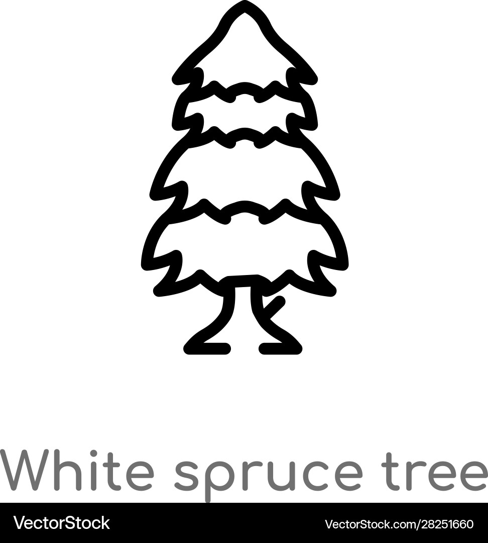 Outline white spruce tree icon isolated black Vector Image