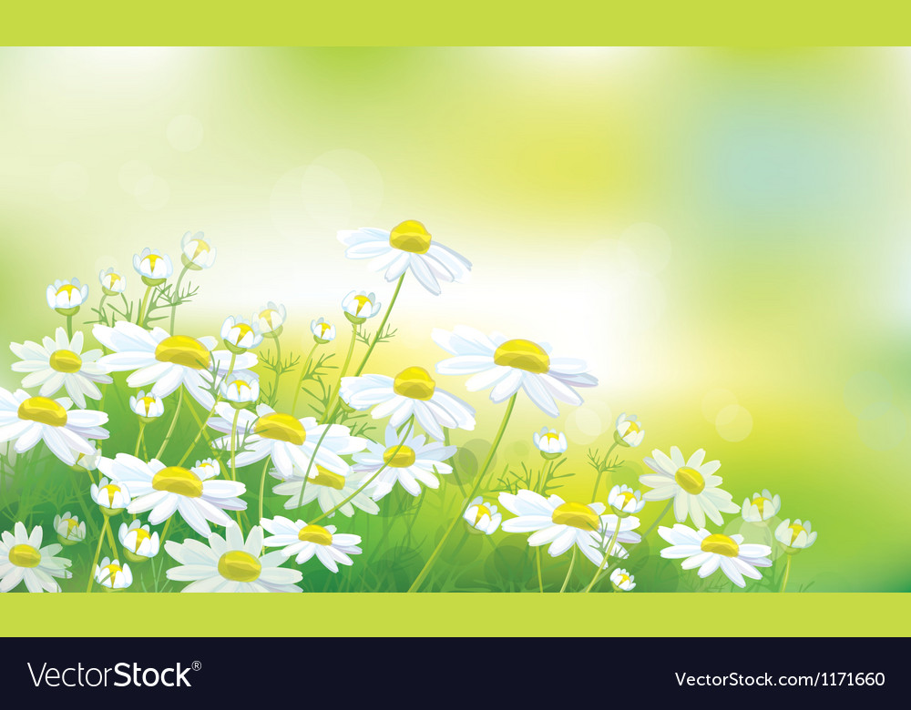 Spring Royalty Free Vector Image - VectorStock