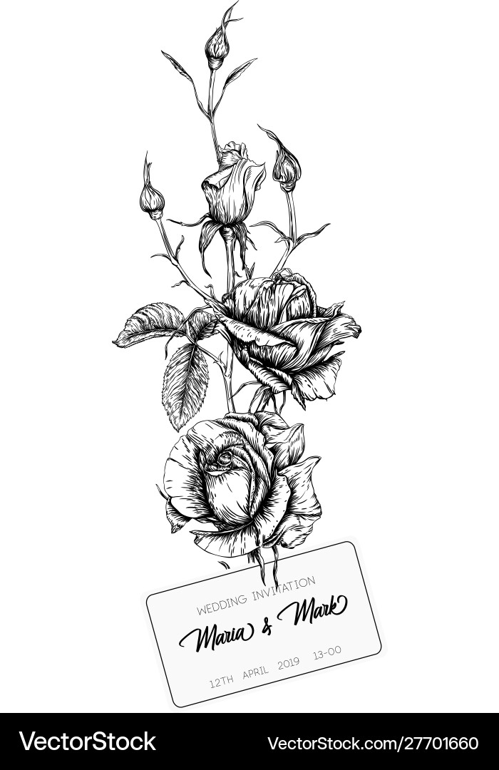 Wedding invitation with roses and spring flowers Vector Image