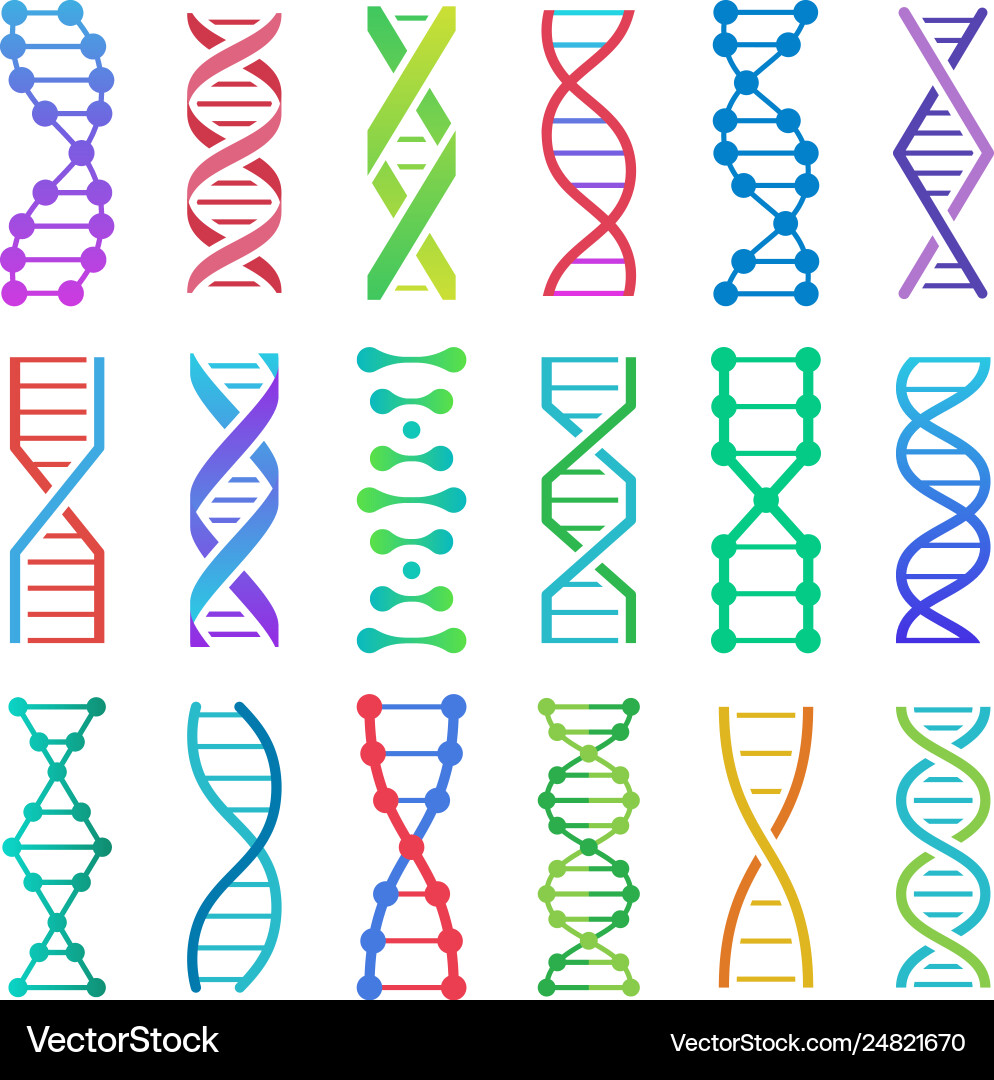 Colorful dna icon and structure spiral Royalty Free Vector