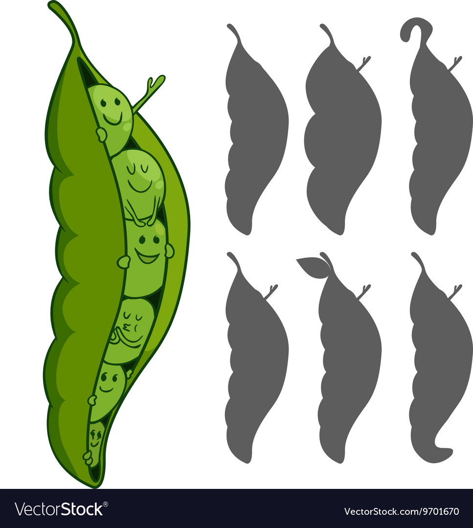 Pea Pod Royalty Free Vector Image - VectorStock
