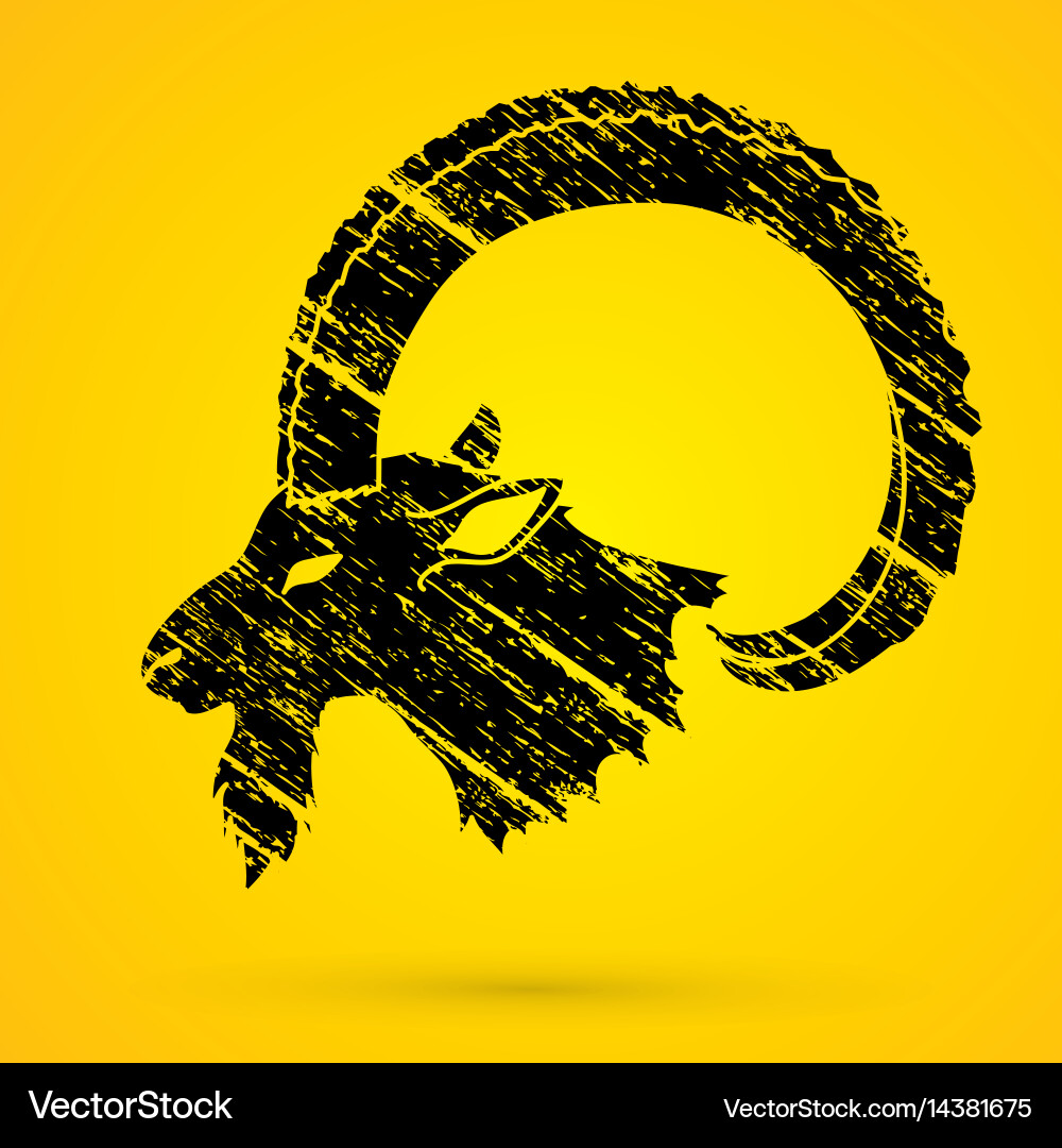 Ibex head with big horn mountain goat Royalty Free Vector