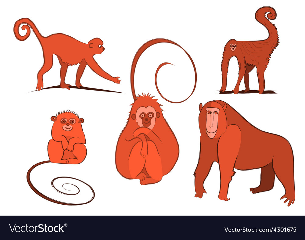 Monkey Royalty Free Vector Image - VectorStock