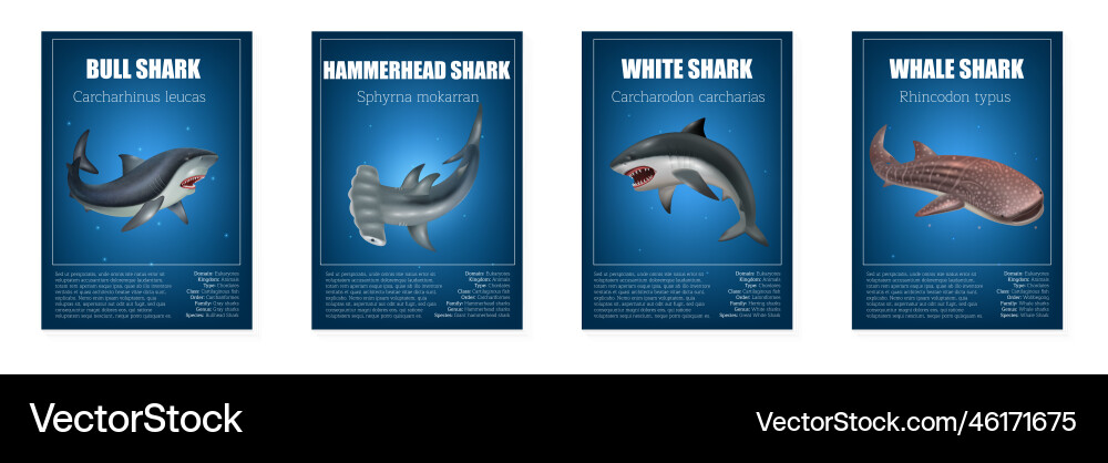 Shark poster set Royalty Free Vector Image - VectorStock