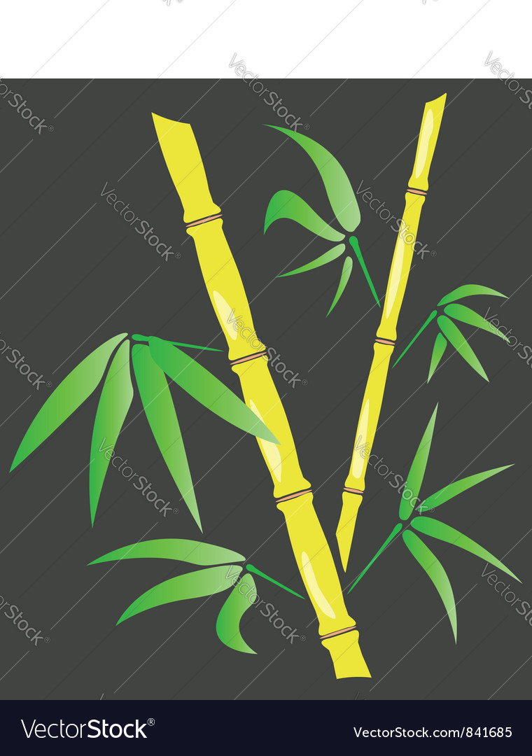 Bamboo Royalty Free Vector Image - VectorStock