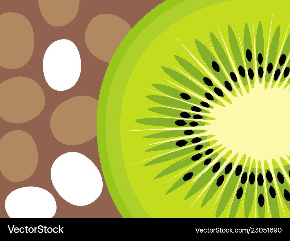 Abstract kiwi fruit design in flat cut out style Vector Image