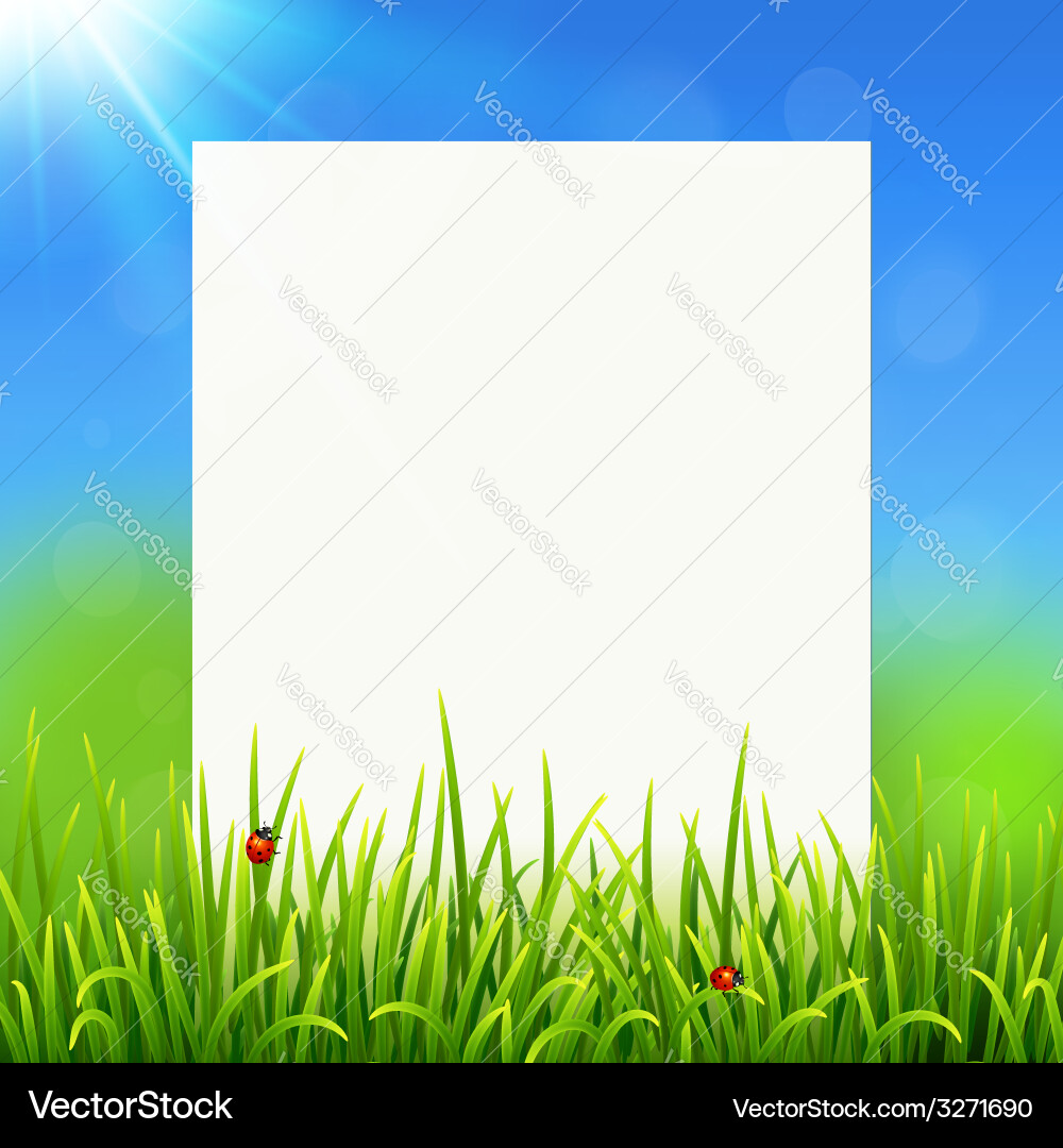 White paper sheet on sunny summer grass background