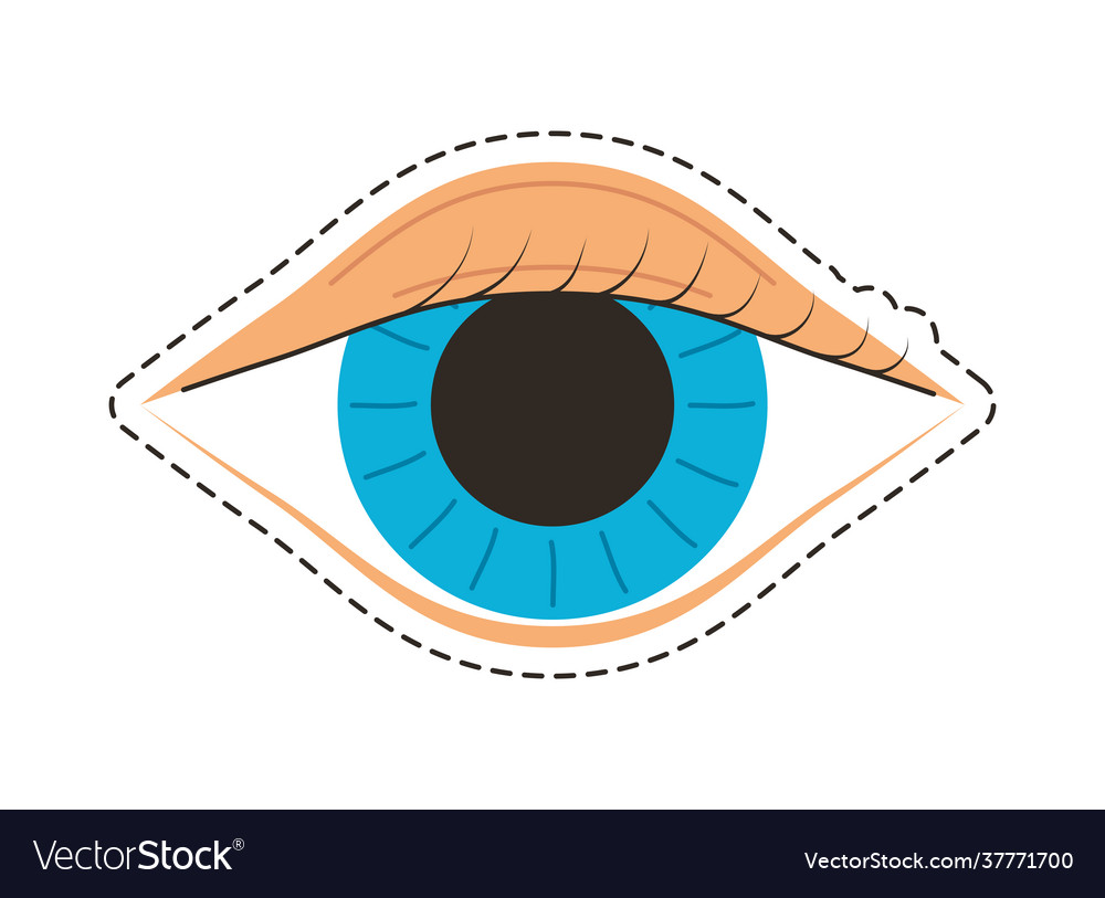Eye human patch Royalty Free Vector Image - VectorStock
