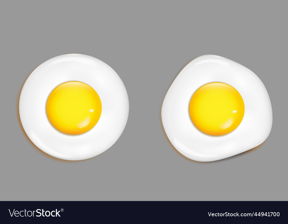 Realistic fried eggs set Royalty Free Vector Image
