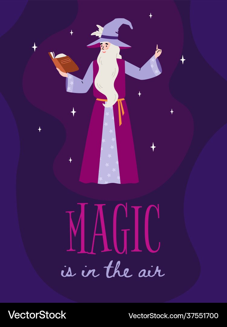 Wise beard wizard hold magic book and casts Vector Image