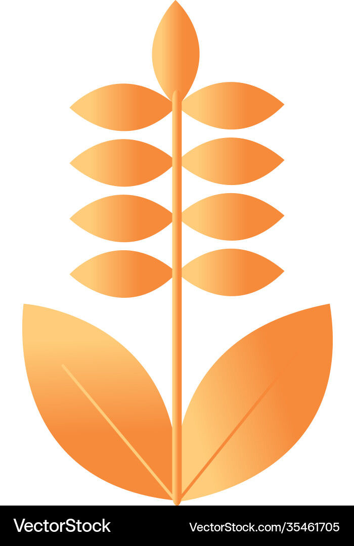 Flower with a orange color Royalty Free Vector Image