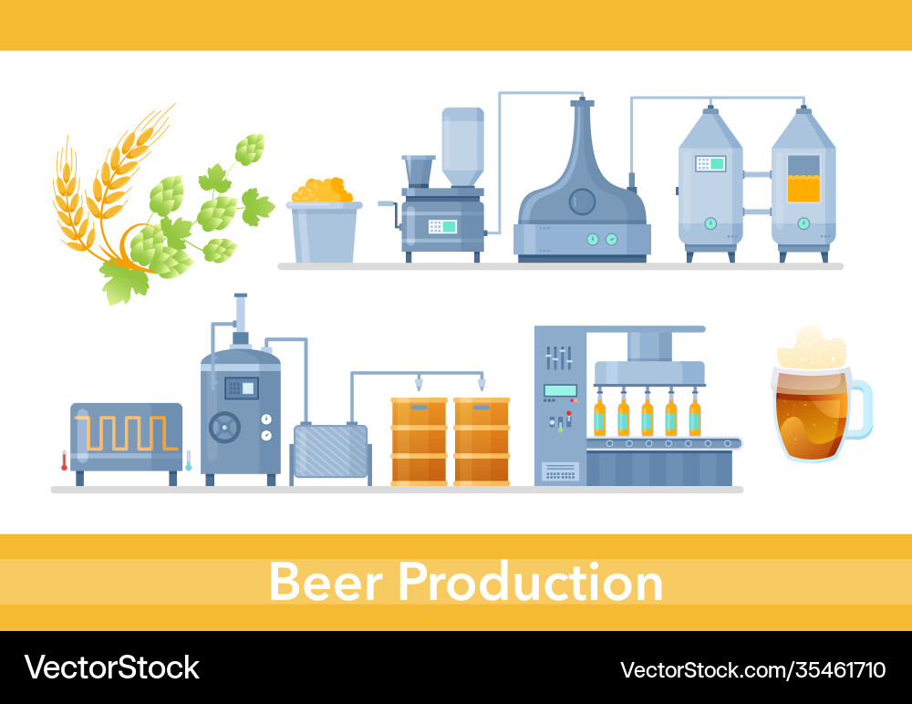 Beer production process in brewery infographic Vector Image