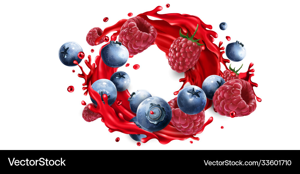 Blueberries and raspberries fruit juice splash Vector Image