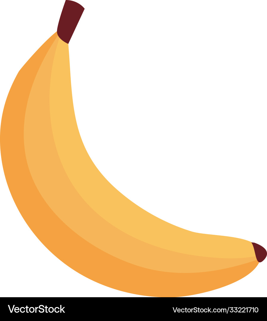 Fresh banana fruit in white background Royalty Free Vector