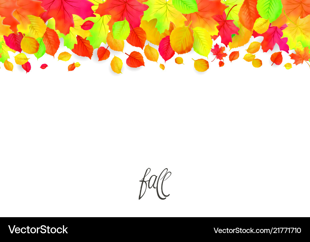Seamless border pattern of falling autumn leaves Vector Image